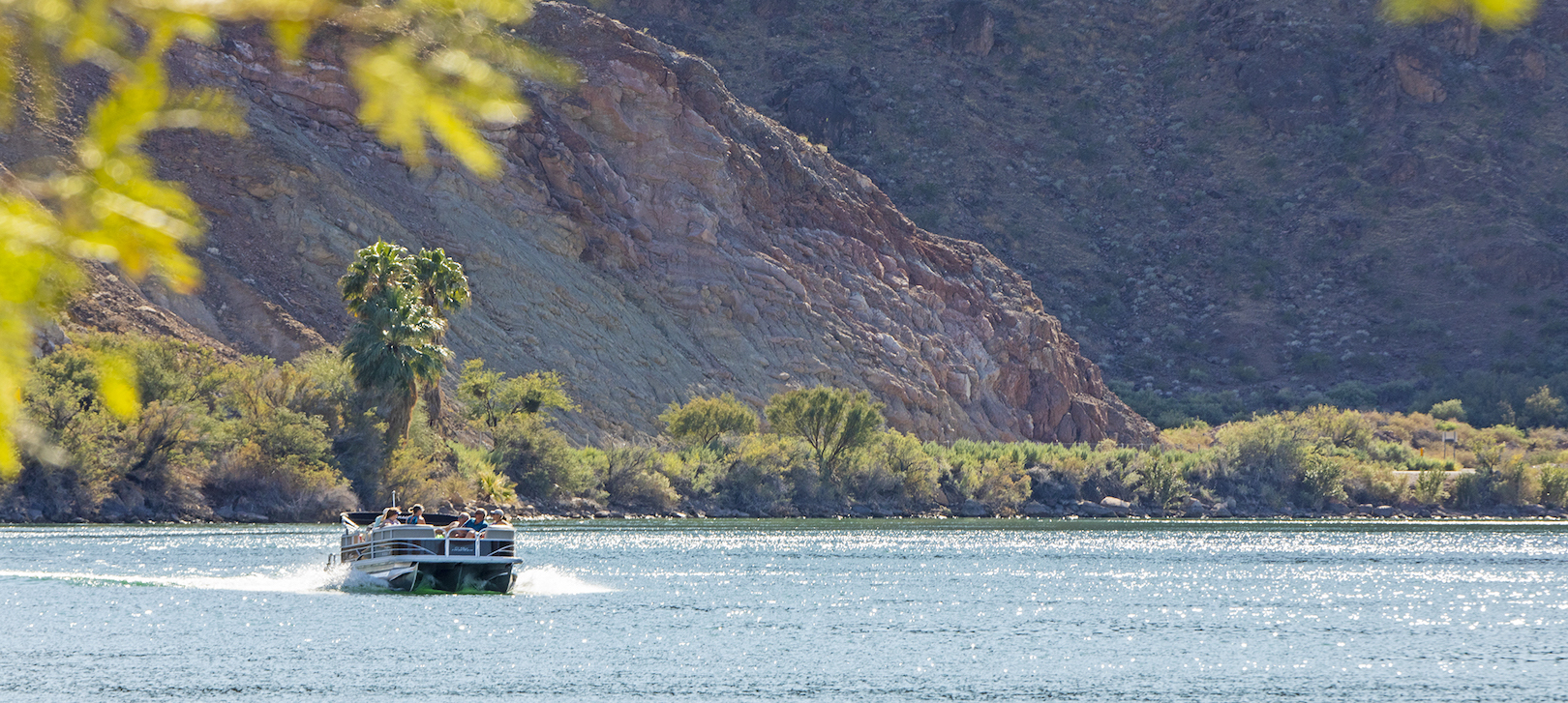 Buckskin Mountain State Park | Arizona