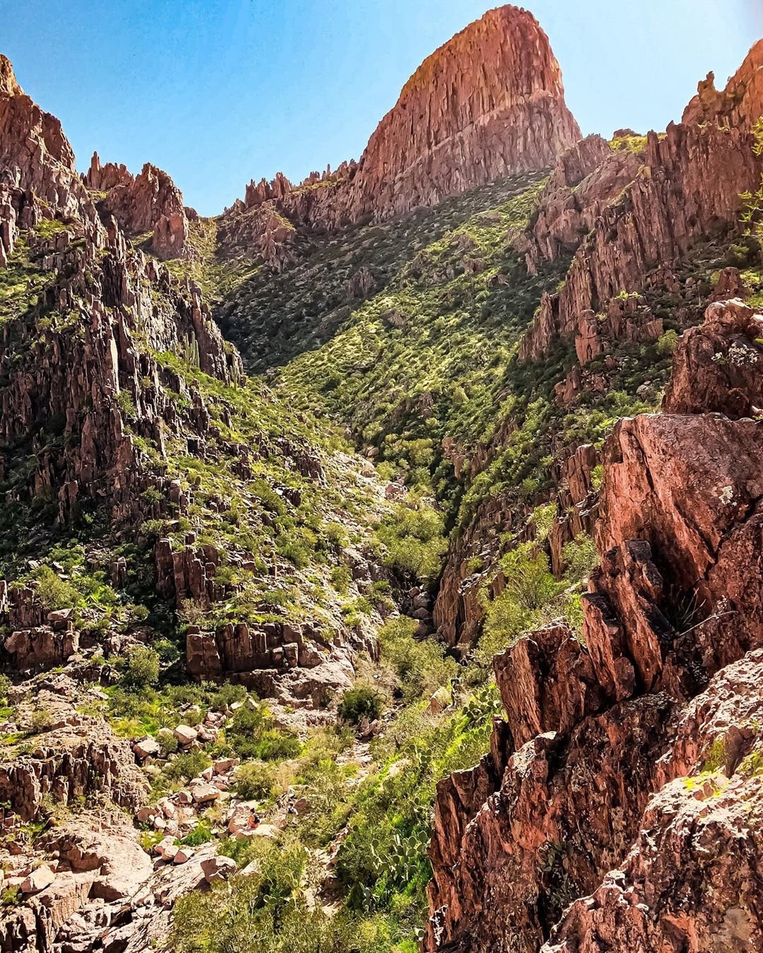 Outdoor Activities For Kids | Arizona State Parks