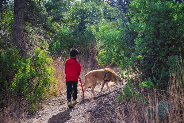 Trails | Oracle State Park